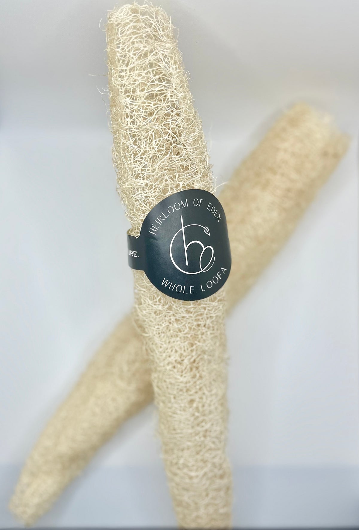 Full Loofa– Heirloom of Eden